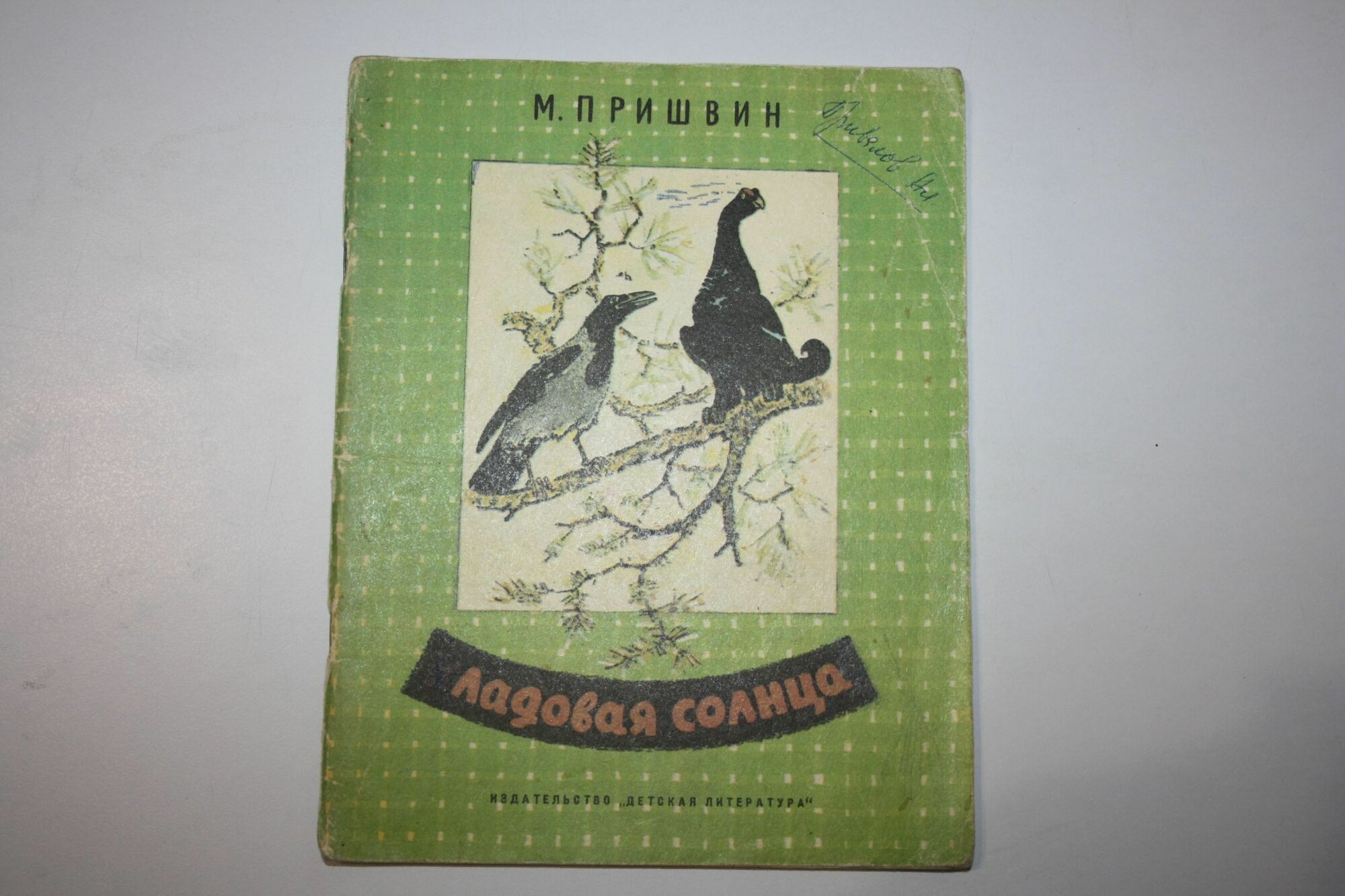 Кладовая солнца. Сказка-быль о необыкновенных приключениях