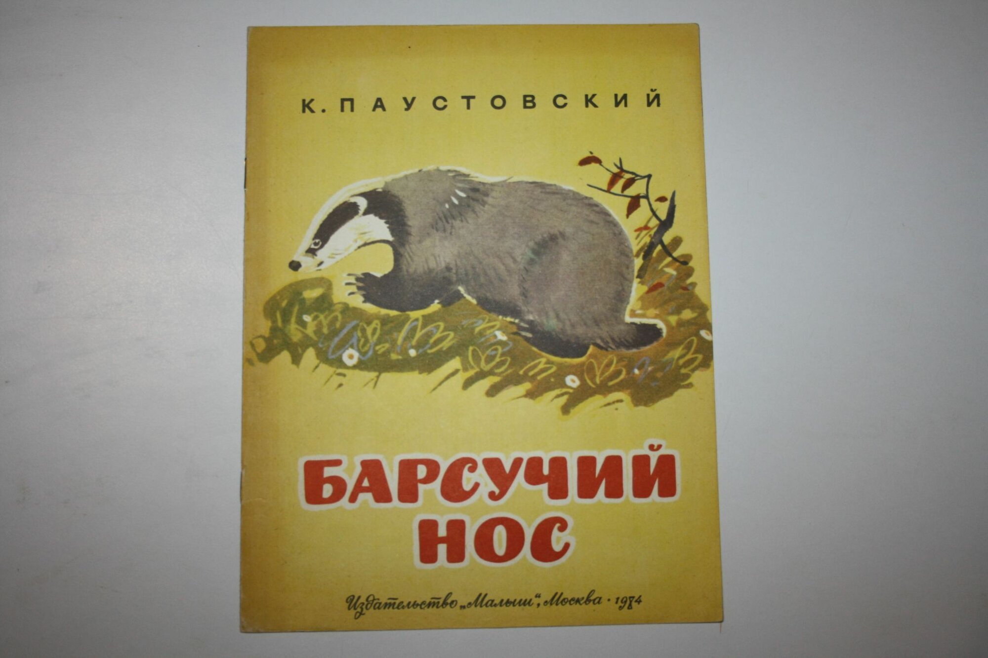 Барсучий нос