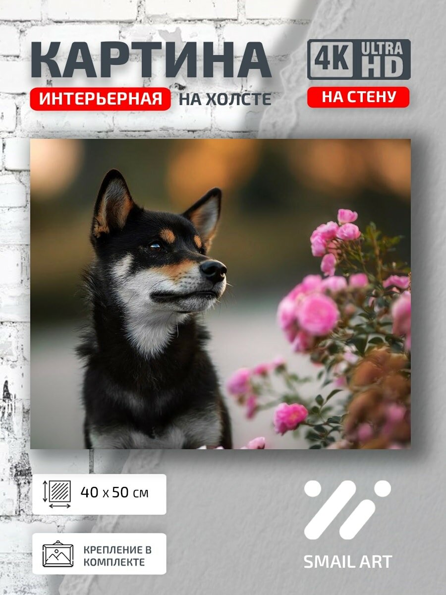 Картина на холсте интерьерная 40 на 50 на стену Животные щенок для спальни атмосфера