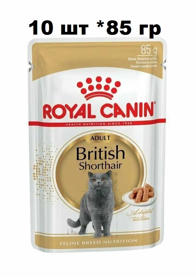 Влажный корм для кошек Royal Canin в соусе для британской короткошерстной породы 85 г х 10 шт
