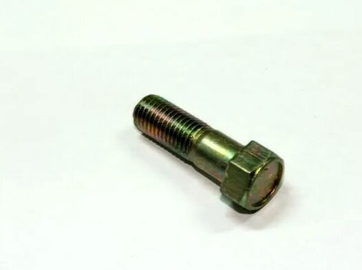 Болт крепления штифтов суппорта M10x1,25-6g h 30/ арт.5301-3501072/ Метизы
