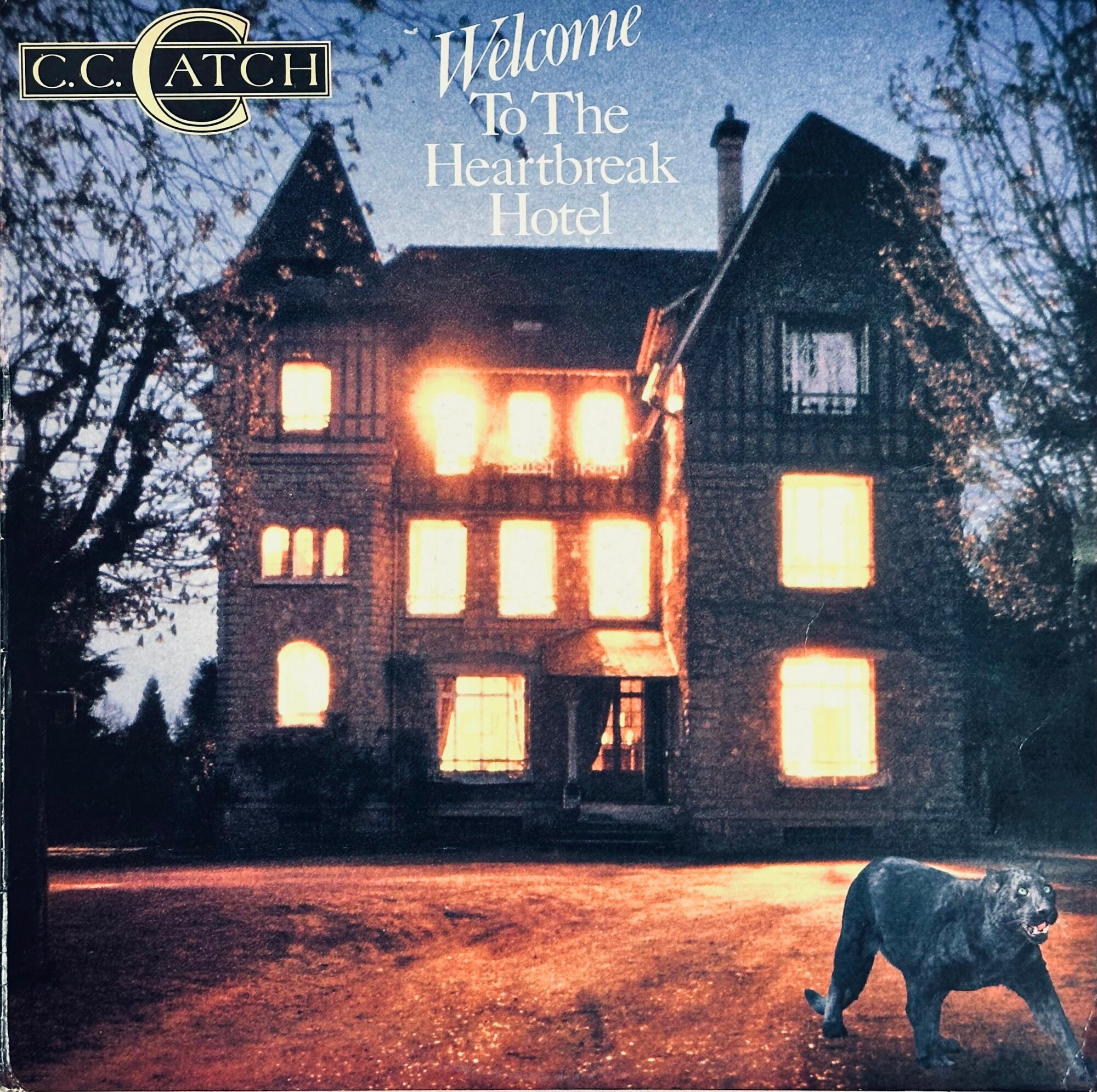 C.C. Catch "Welcome To The Heartbreak Hotel", винил LP12" 1987