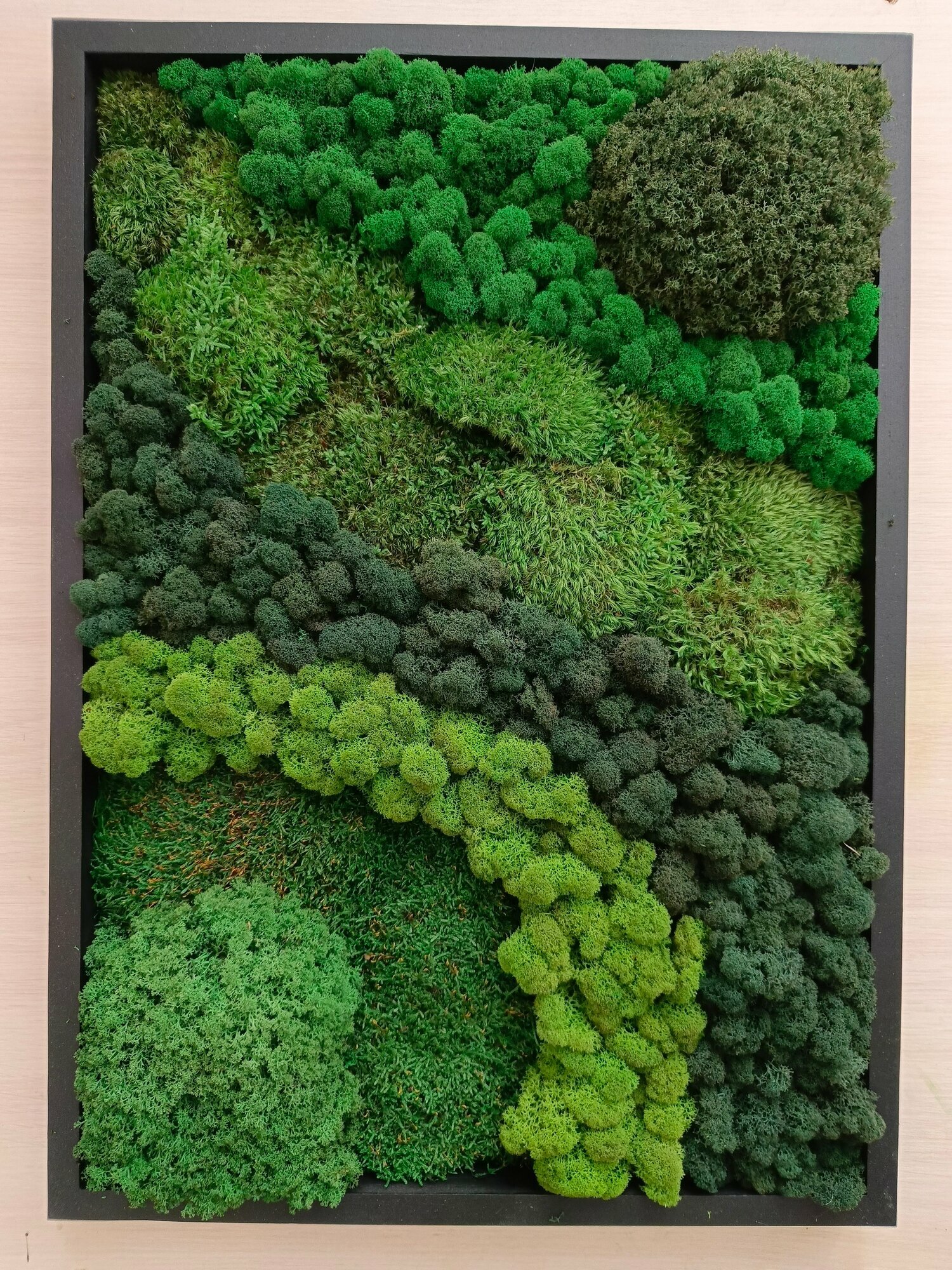 Панно/картина из мха /70*50/"Зеленая мечта XL"