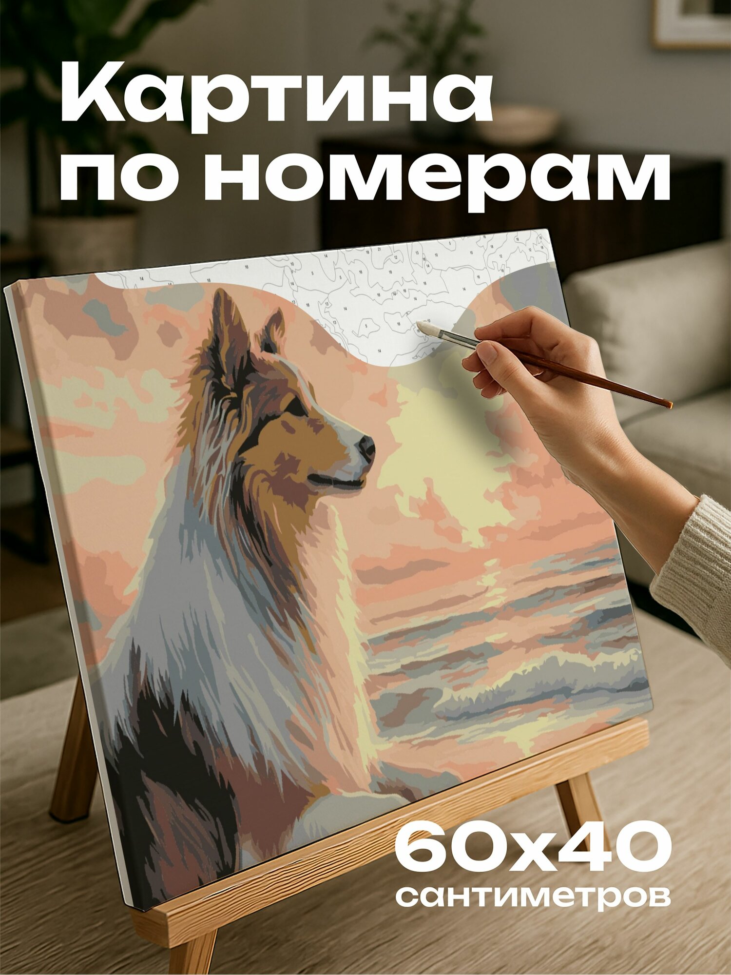 Картина по номерам 60x40 см, портрет, собака, колли, пляж, закат, нежное, элегантное, теплые оттенки, золотистые