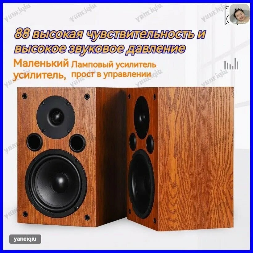 Эксклюзивные фронтальные пассивные колонки 6,5 дюймов с впечатляющим качеством звука и мощностью 2,0 или 100 Вт для компьютера
