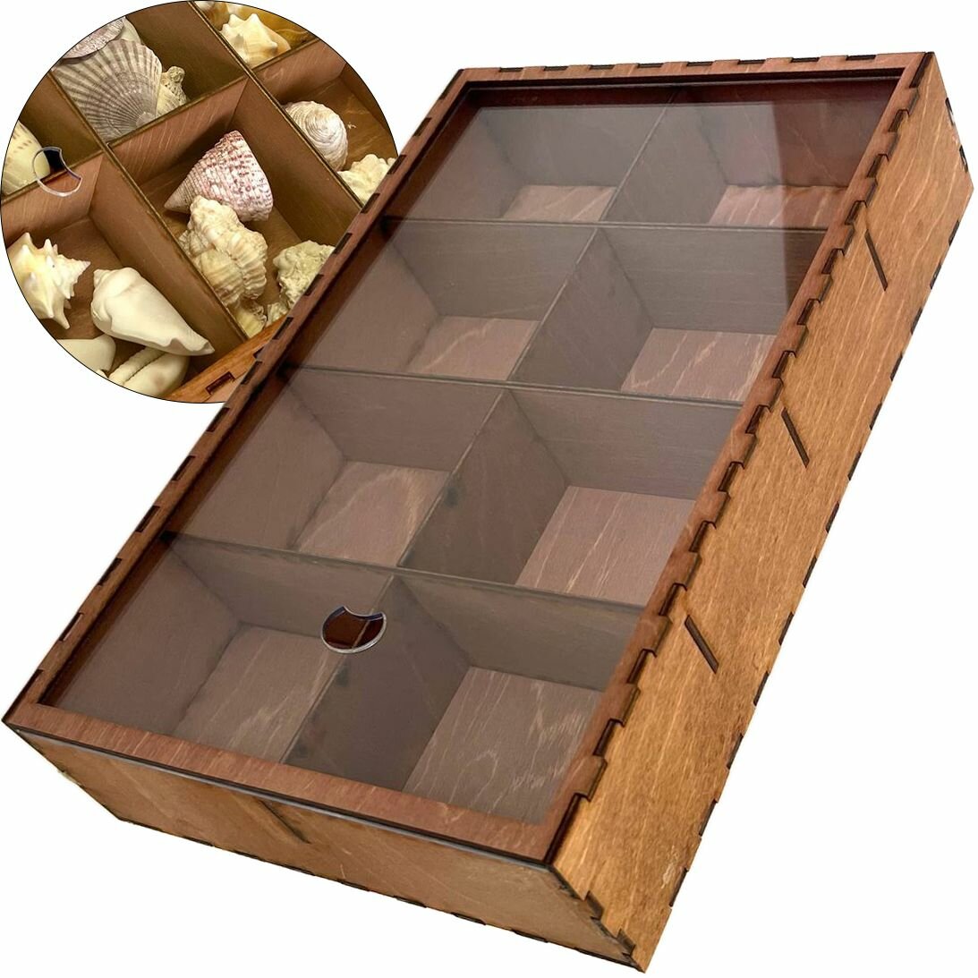 Коробка-органайзер для коллекции с выдвижным стеклом и разделителями на 8 ячеек, 20х30 см