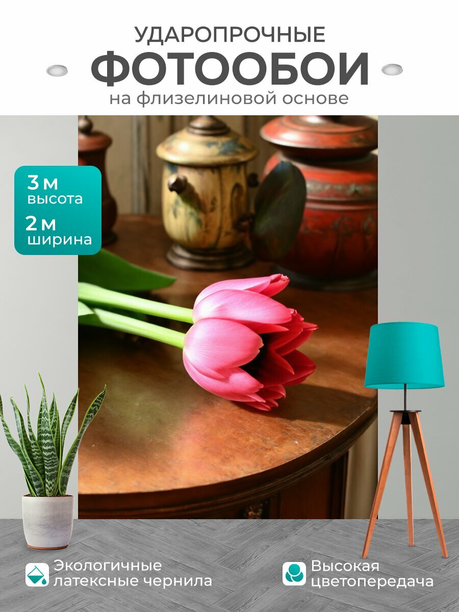 Фотообои моющиеся ударопрочные "Тюльпан, красиво расположенный на столе среди винтажных предметов, с мягким светом, подчеркивающим текстуры старинных вещей" 200x300 см. флизелиновые на стену