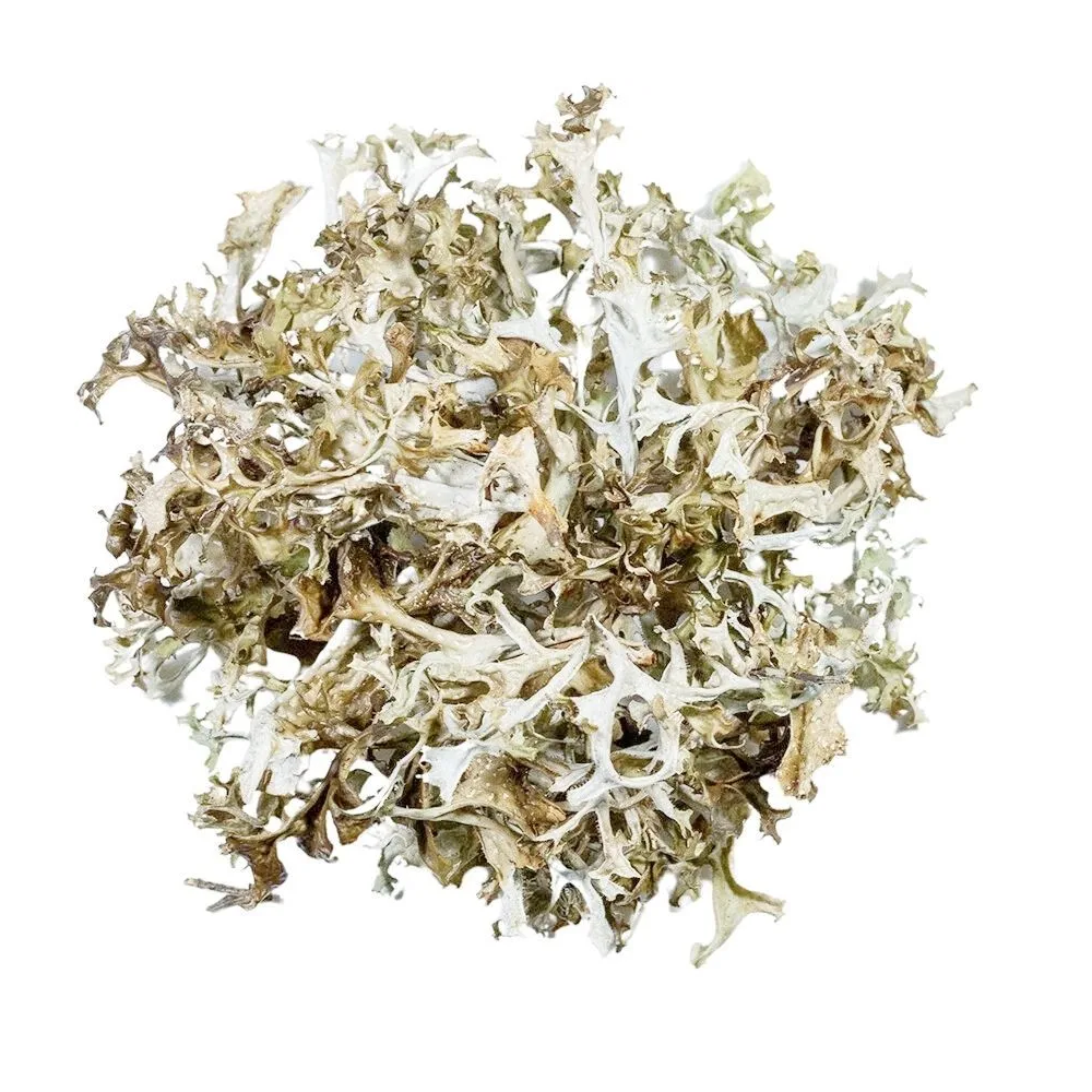 Исландский мох (Цетрария)