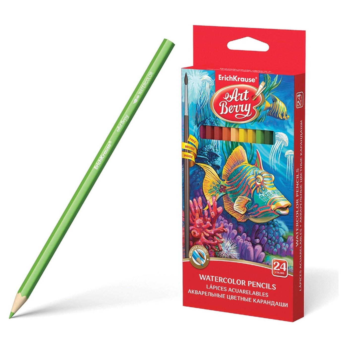 Акварельные карандаши Erich Krause Дерево, 24 цвета, с кисточкой (32882)