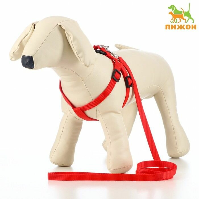 Шлейка для собак Пижон 32-46х1,5 см, "Базис", поводок 120х1,5 см, красный
