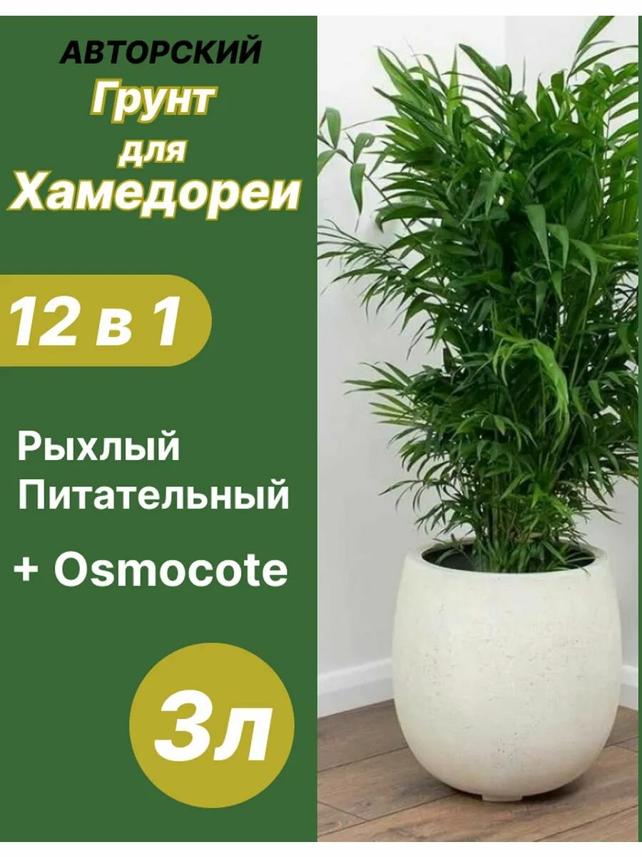 Грунт для Хамедореи 3л готовый
