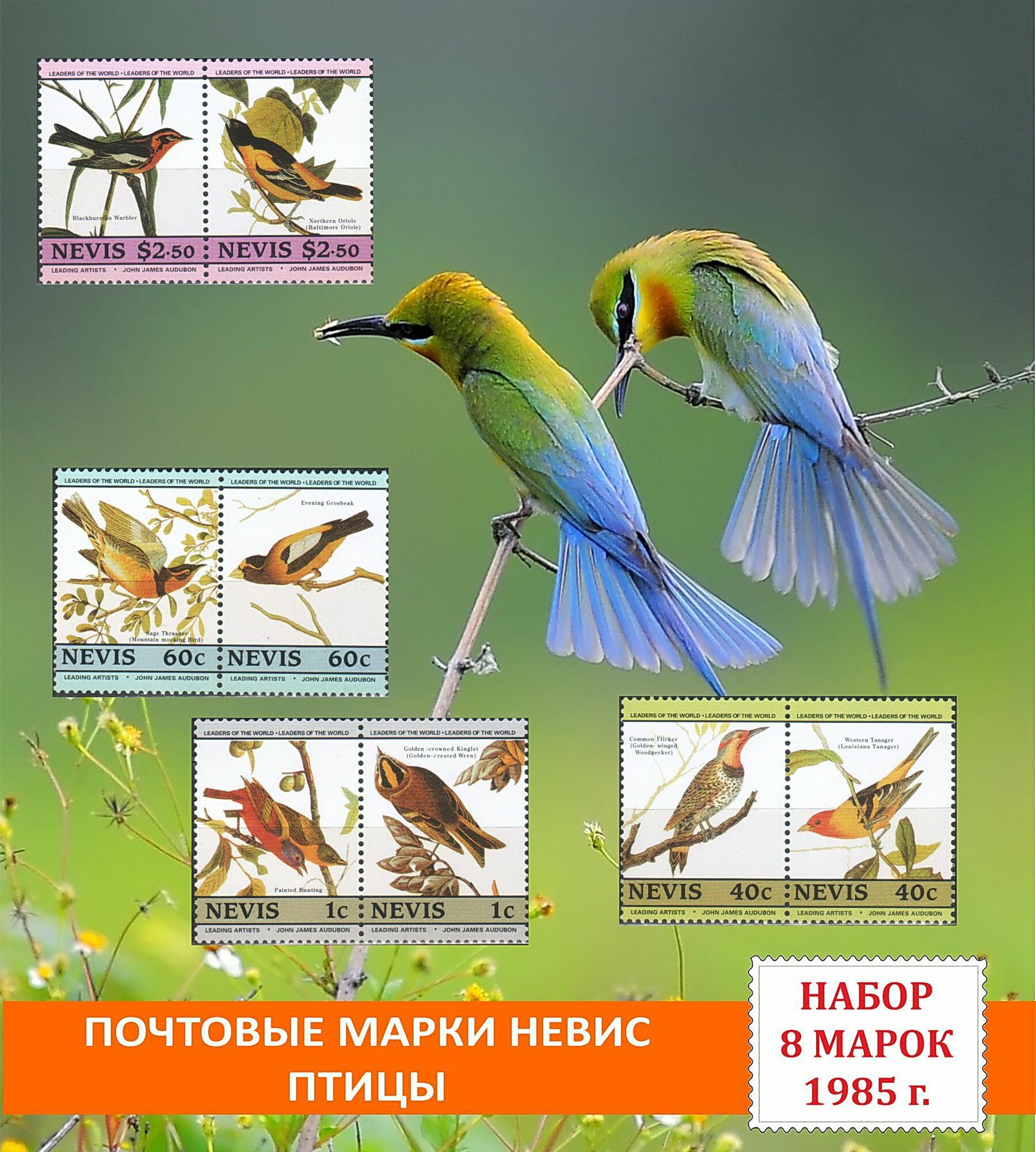 Почтовые марки Невис Фауна. Птицы Набор 8 марок 1985 года (Второй выпуск)