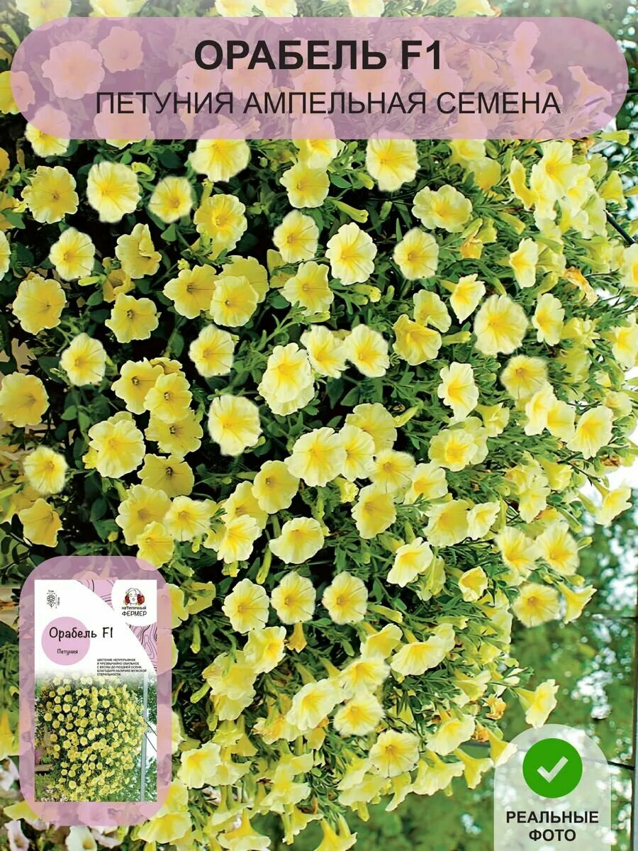 Семена петунии Нетипичный Фермер "Орабель", ампельной, однолетней, крупные цветы