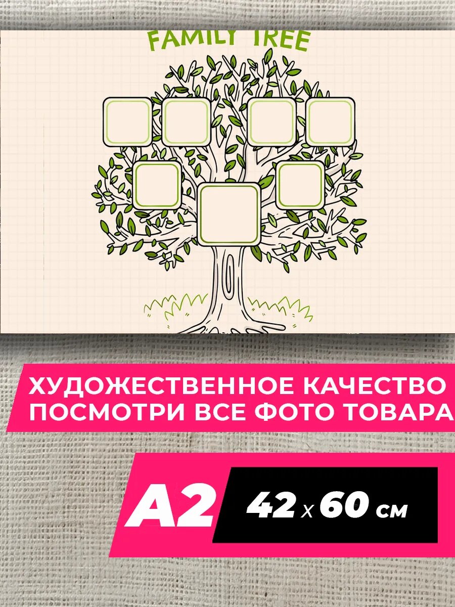 Постер Генеалогическое древо на стену A2, матовая фотобумага премиум качества