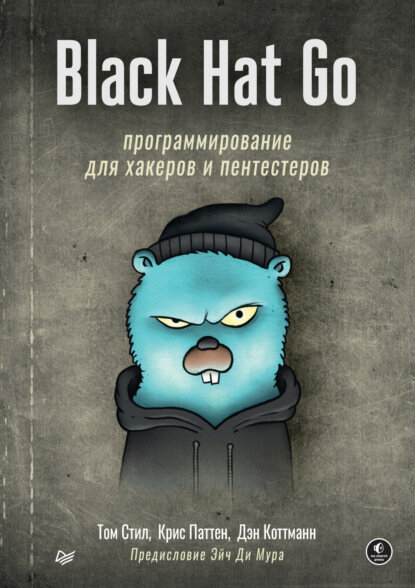 Black Hat Go. Программирование для хакеров и пентестеров (+ epub) [Цифровая книга]