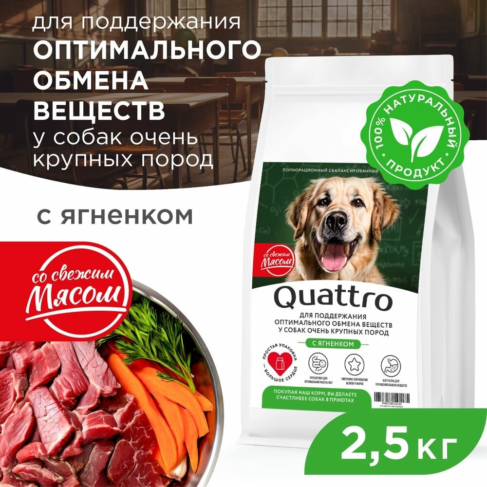 Корм сухой для собак очень крупных пород, премиум полнорационный комплекс, забота об обмене веществ, с ягненком, 2,5 кг, QUATTRO