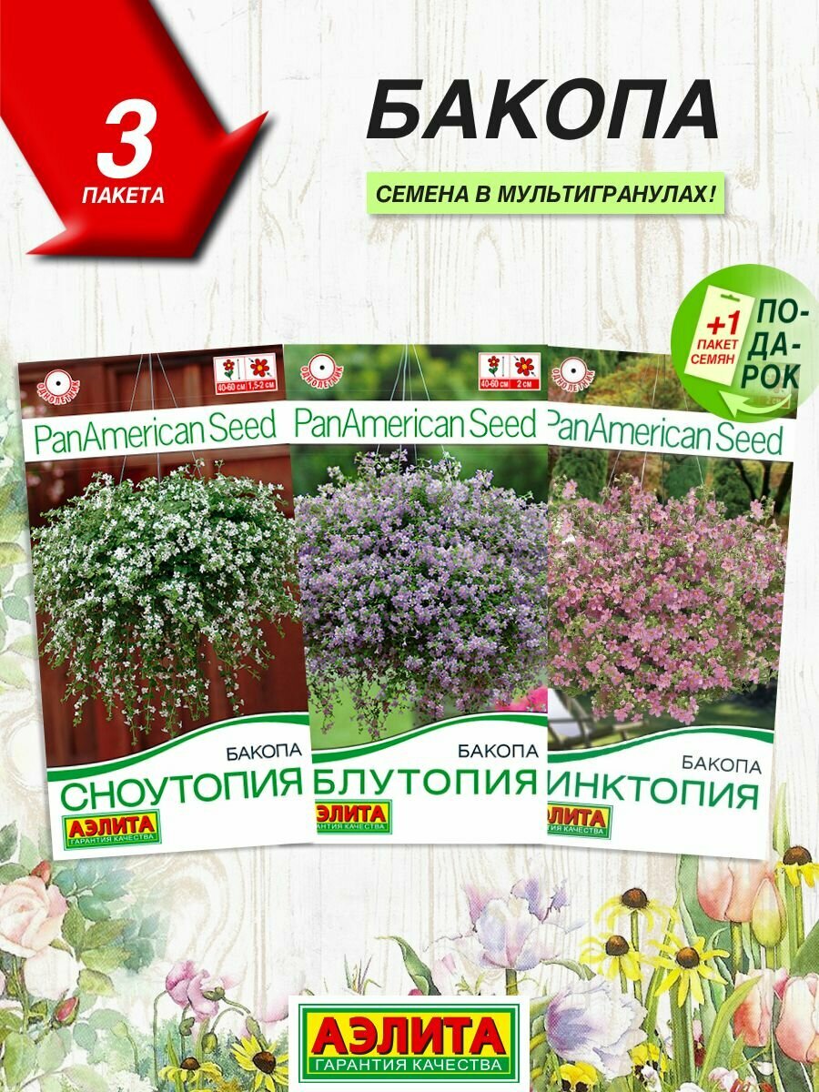 Семена цветов Аэлита Бакопа 3 сорта / Семена Бакопы ампельной