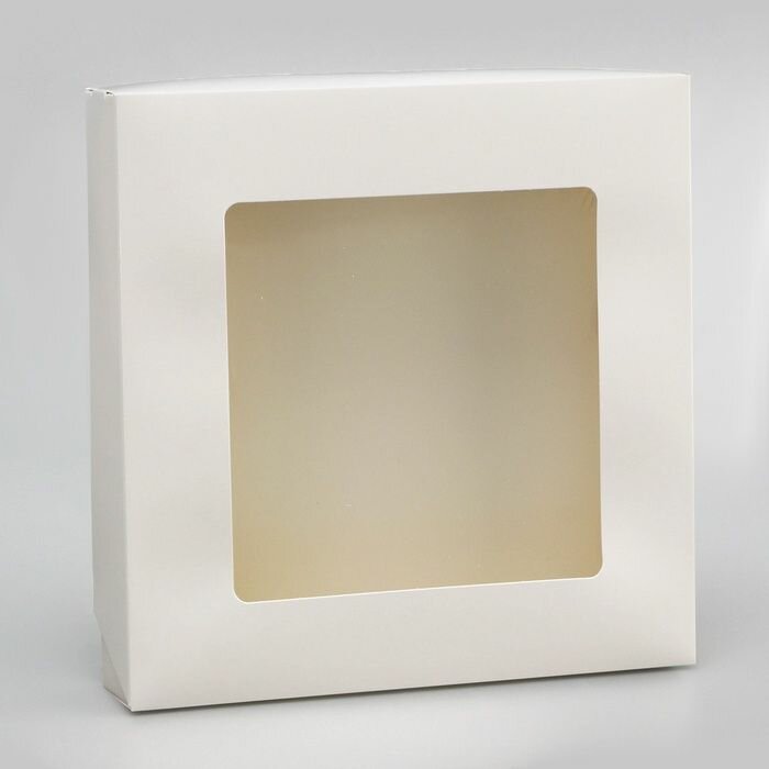 Контейнер на вынос, с окном, белый, 20 х 20 х 4 см(20 шт.)