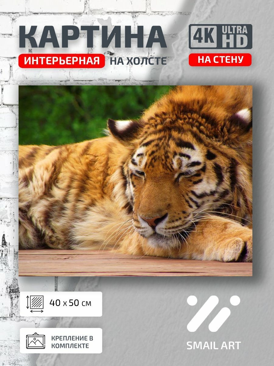Картина на холсте интерьерная 40 на 50 на стену Тигр Animal для кабинета animal style декор