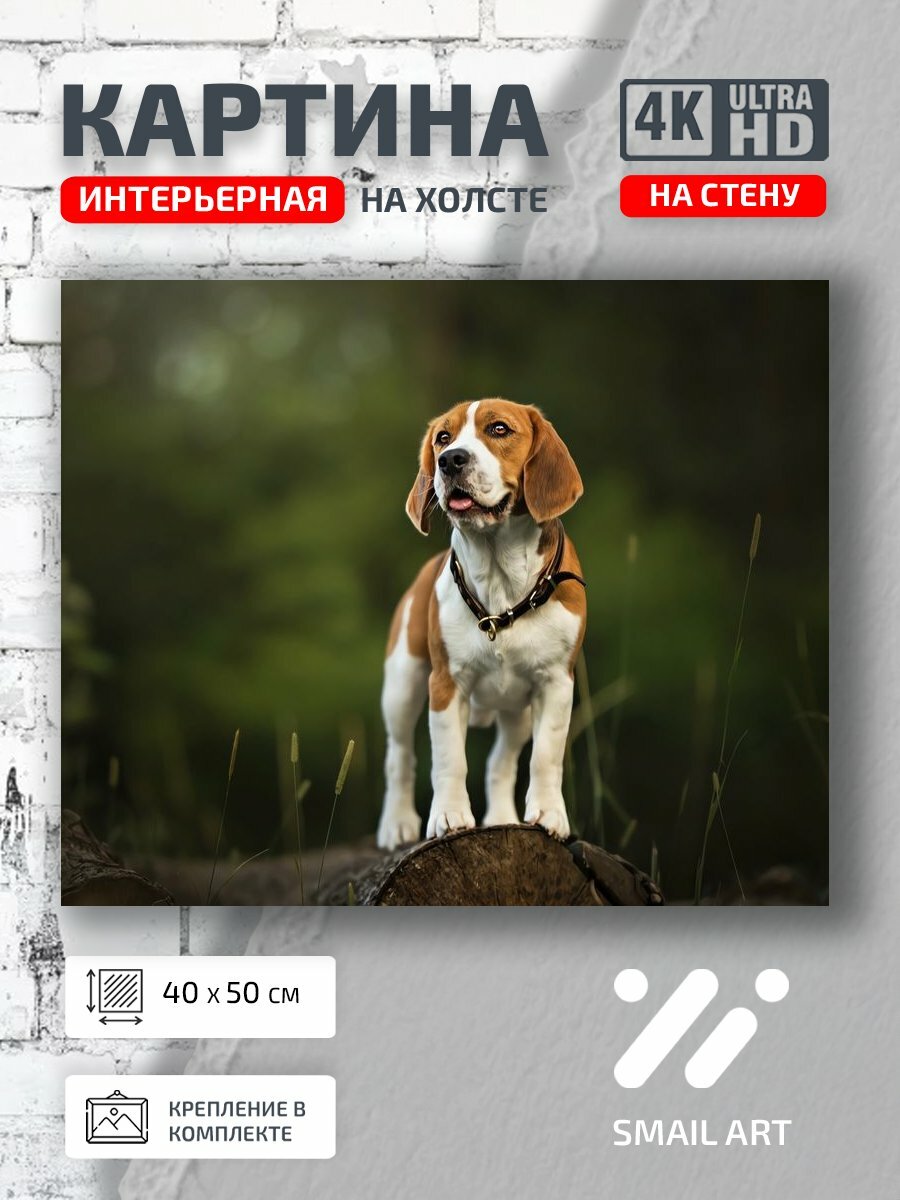 Картина на холсте интерьерная 40 на 50 на стену Лес Landscape для кабинета пейзаж интерьер