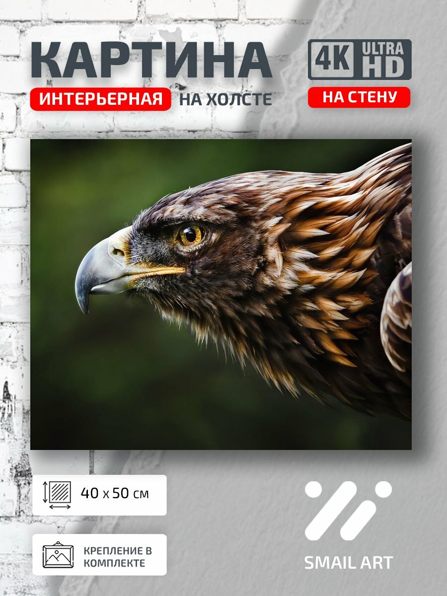 Картина на холсте интерьерная 40 на 50 на стену Орел Animal для гостиной animal style декор