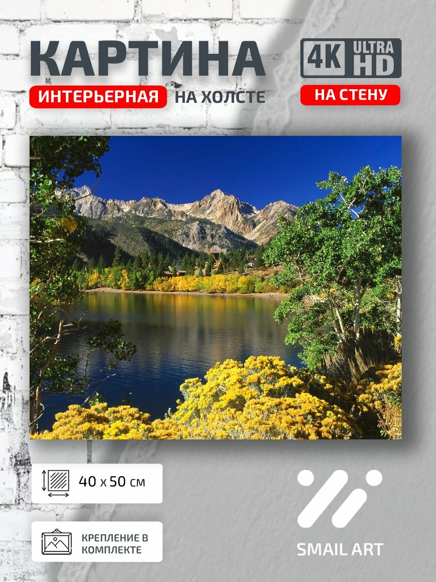 Картина на холсте интерьерная 40 на 50 на стену Живописная Forest для кабинета пейзаж декор