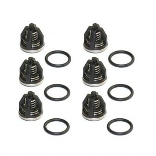 Комплект клапанов для Royal Press (17859) KIT 01 от Inter pump
