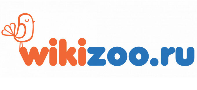 Подарочный сертификат - WIKIZOO | номинал 500 RUB | Россия | Подарок для любого случая