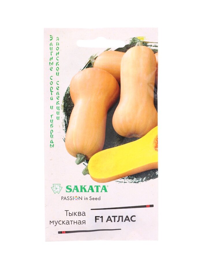Семена Тыква Атлас F1, мускатная 5 шт.(Саката) 10965274