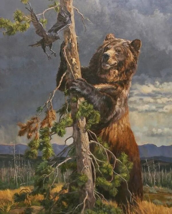 Алмазная Картина "Медведь" 5D Круглый Бриллиант 40х50 См Алмазная Вышивка / Картина Стразами Подарков