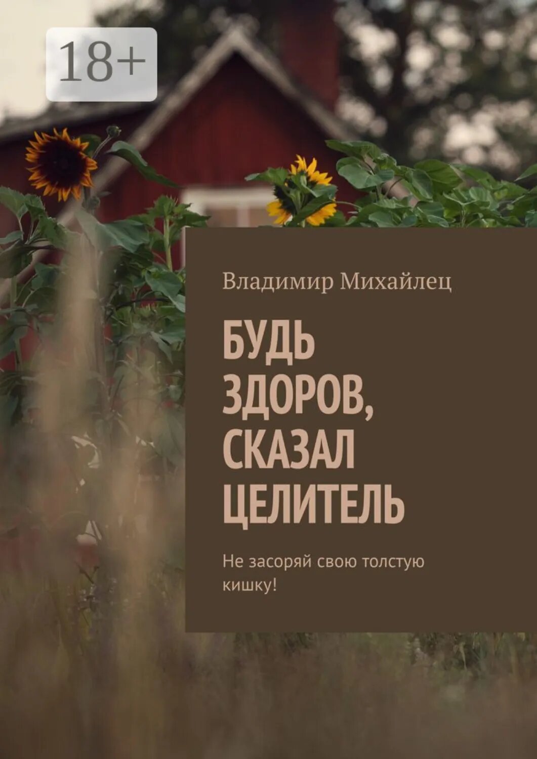 Будь здоров, сказал целитель. Не засоряй свою толстую кишку! [Цифровая книга]