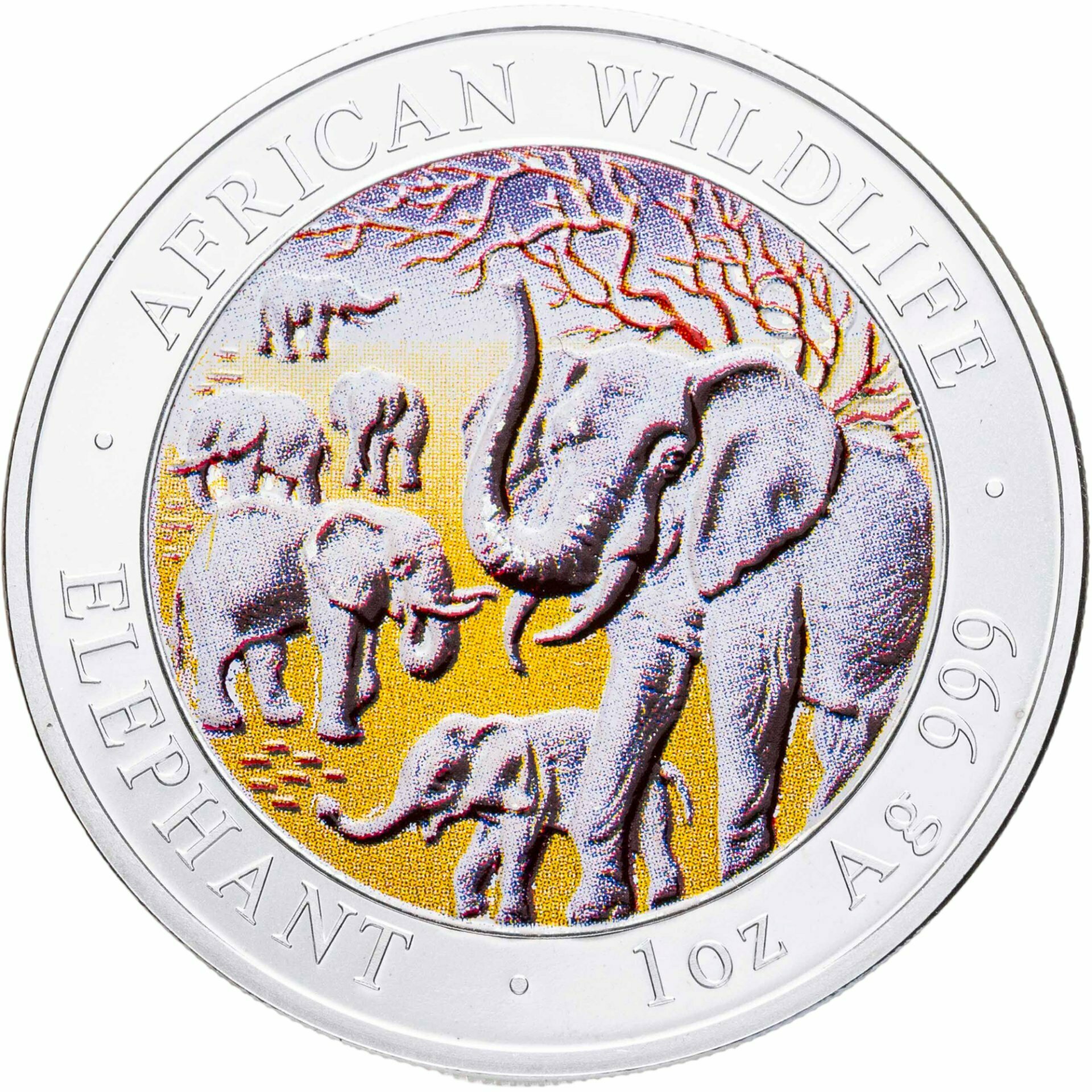 Сомали 100 шиллингов 2008 "Слоны" цветная, частная модификация подлинной монеты