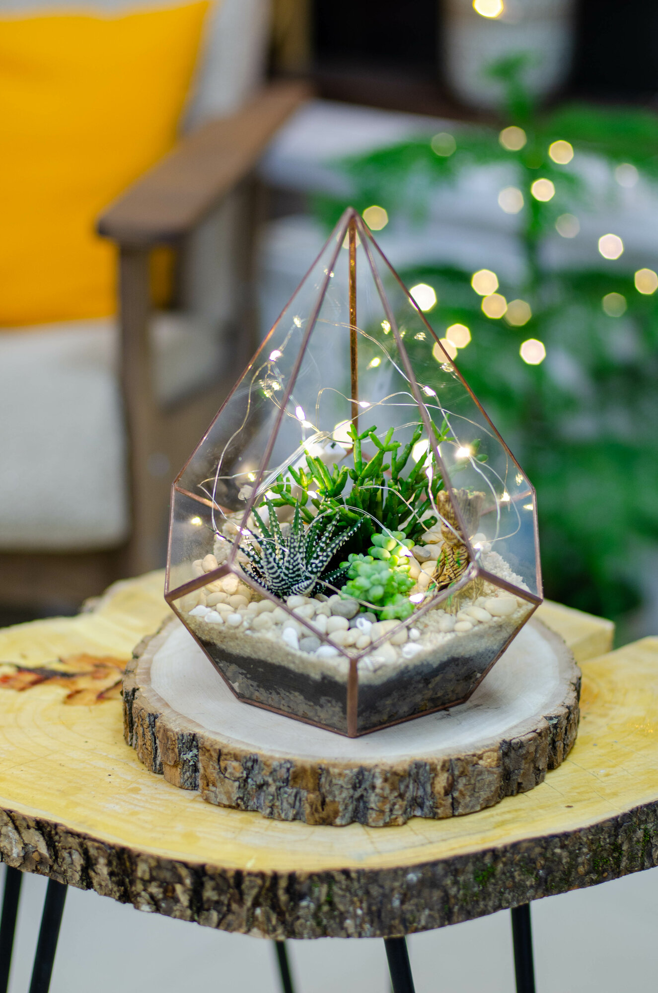 Флорариум с суккулентами, GreenCube, 26см, настольный, Капля, подарок