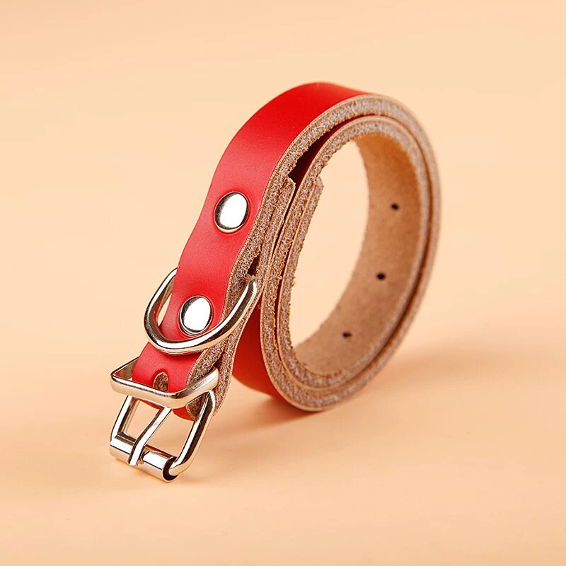 Ошейник из натуральной кожи для собаки среднего размера, маленькая собака, щенок, кошка, ошейник для собаки, Тедди,