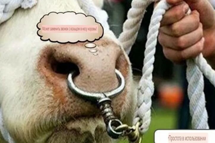 Большое пружинное кольцо для носа коровы из нержавеющей стали / сельскохозяйственное животное бык/Небольшой размер