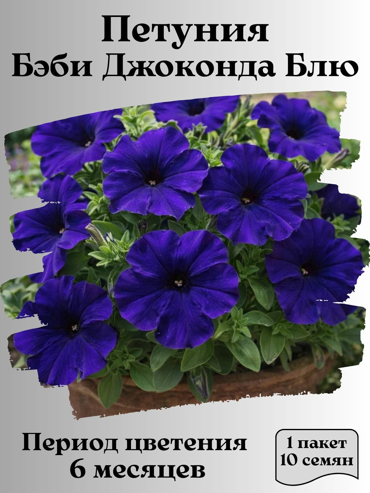 Петуния Бэби Джоконда Блю, семена, 10 шт.