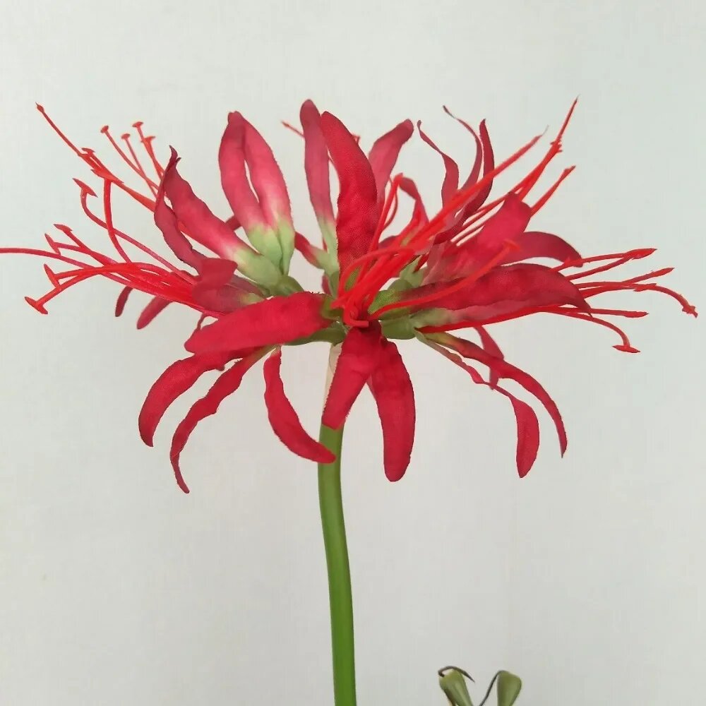 Искусственные цветы Лилии-пауки 60 см