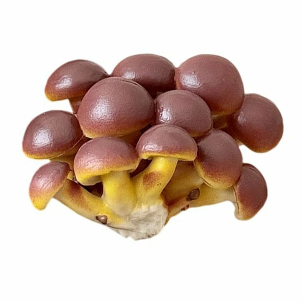 Магниты-грибы для холодильника