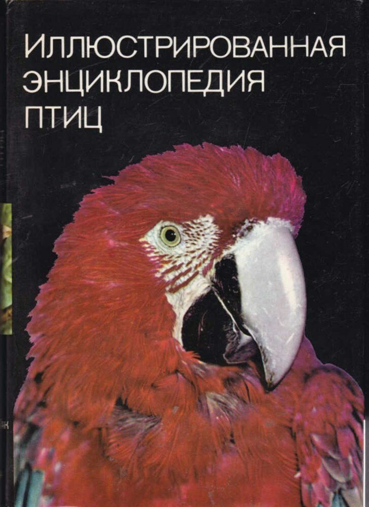 Ганзак Я. - Иллюстрированная энциклопедия птиц - 1984