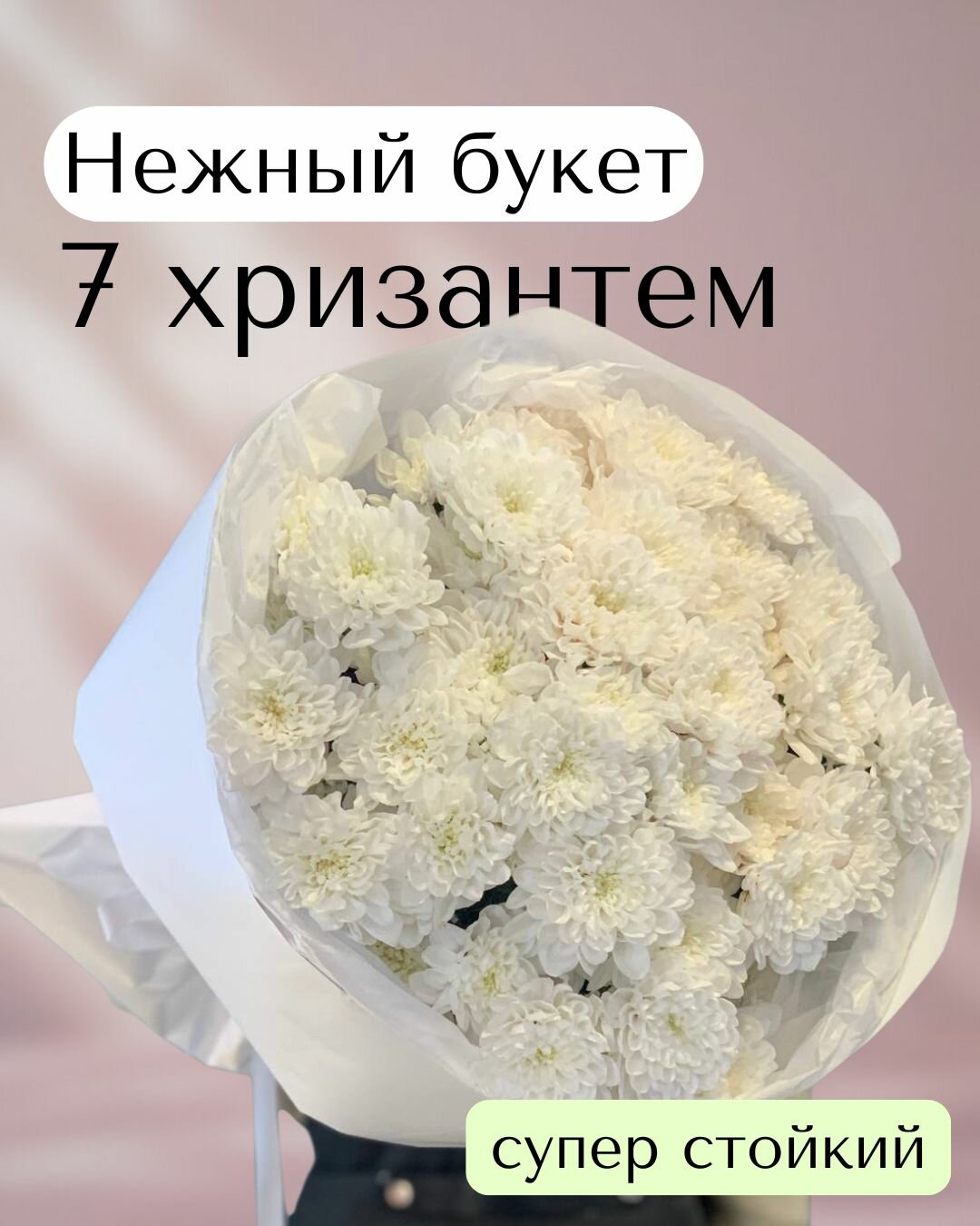 Букет из 7 белых хризантем. Свежие цветы в подарок.