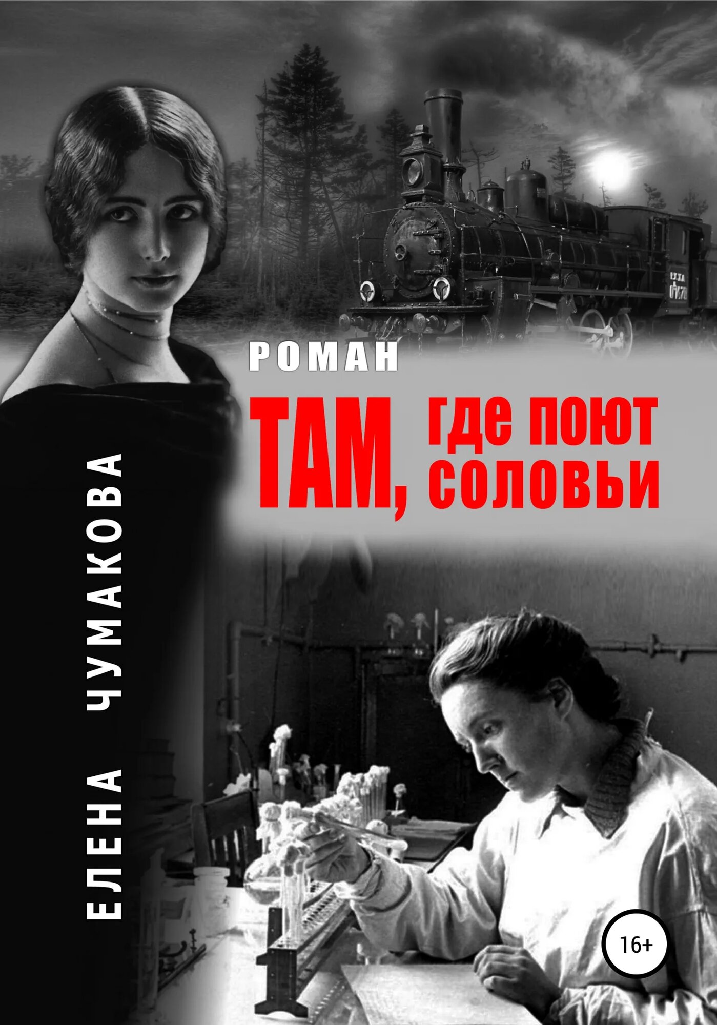 Там, где поют соловьи [Цифровая книга]