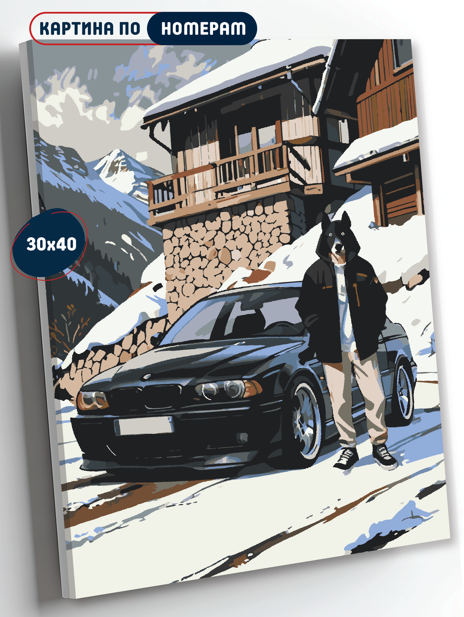 Картина по номерам "BMW E39 №4", Холст на подрамнике 30х40