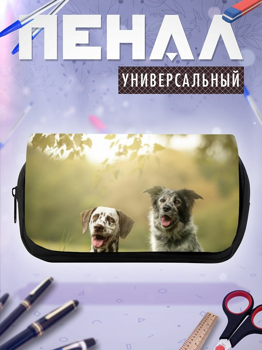 Школьный пенал английский сеттер пес