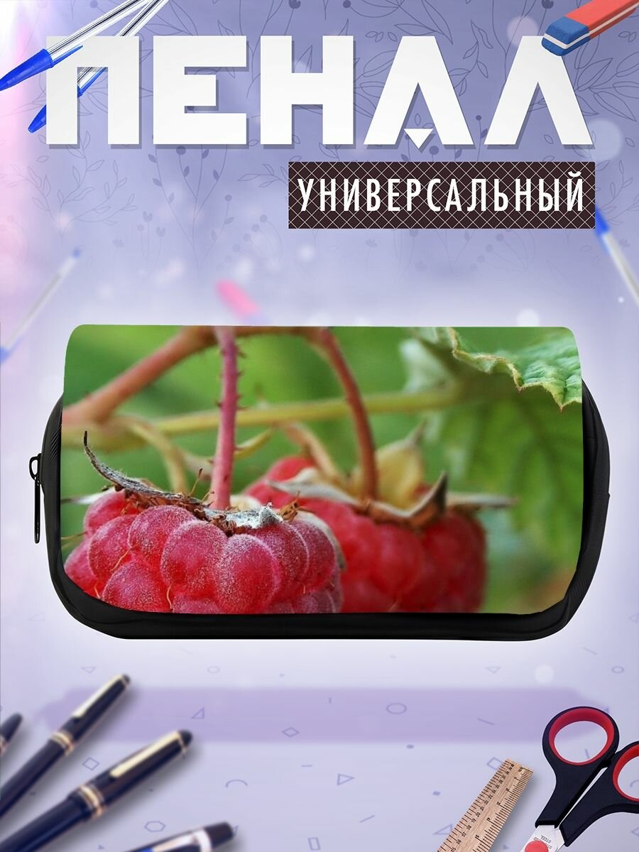 Школьный пенал Красная малина фрукты