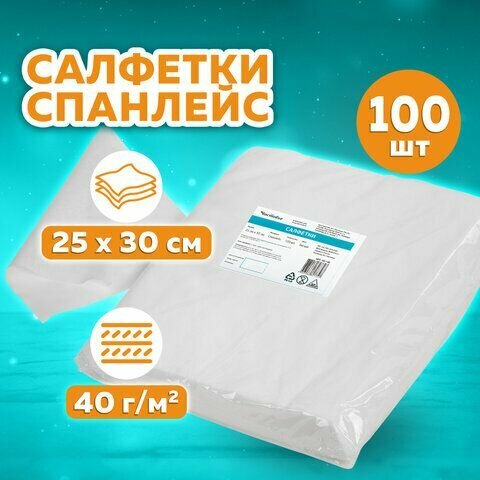 3 шт. Салфетка одноразовая белая 25х30 см, комплект 100 шт, спанлейс, 40 г/м2, чистовье, 00-146