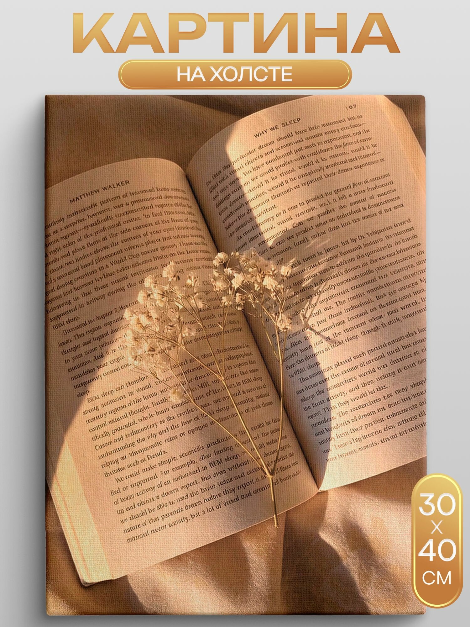 Картина на стену интерьерная книга