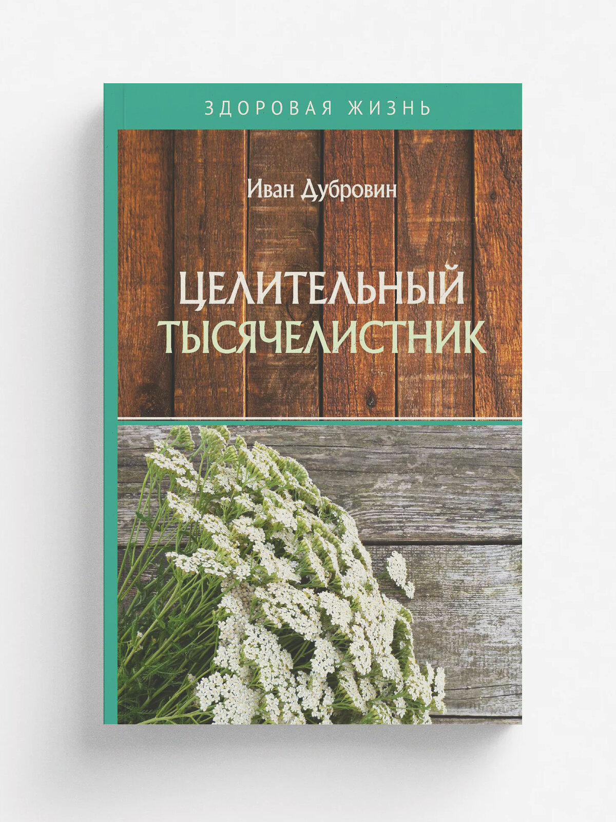 Целительный тысячелистник