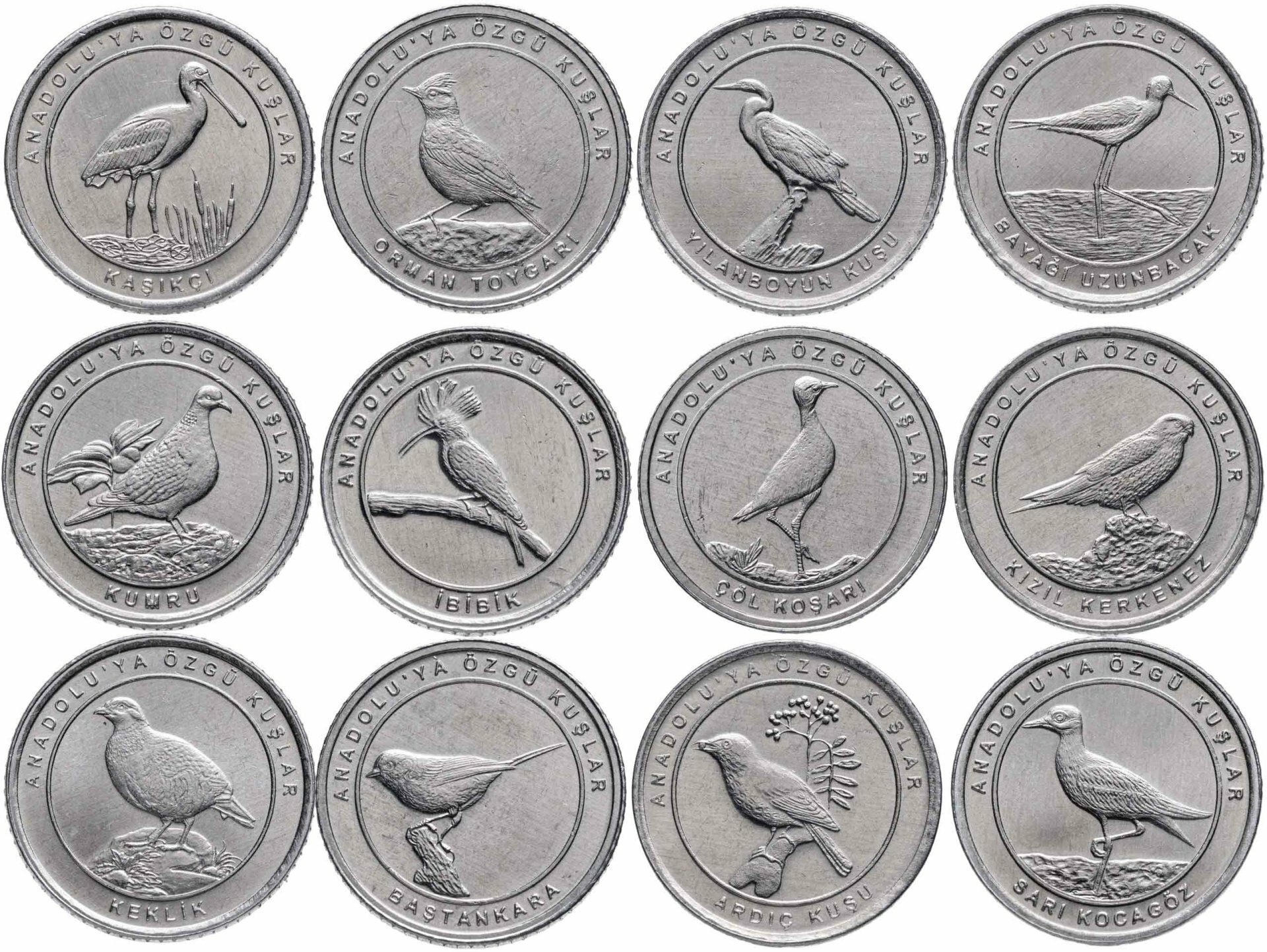 Турция набор из 12 монет 1 куруш 2020 Фауна - Птицы, Алюминий, в сохранности UNC
