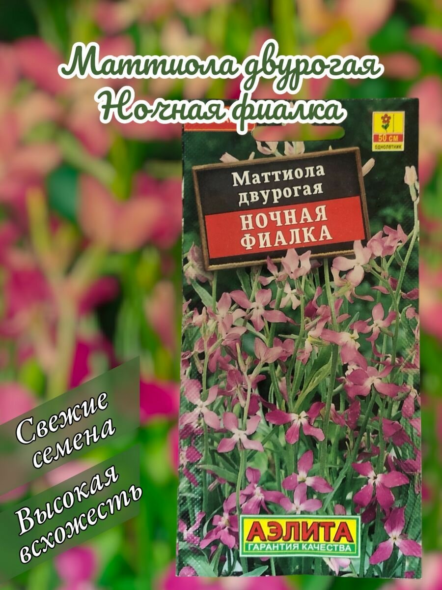 Маттиола Ночная фиалка цв. п 0,5г Аэлита