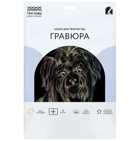 Гравюра с гологр. эфф. ТРИ совы "Йорк", А4, GA4_48291